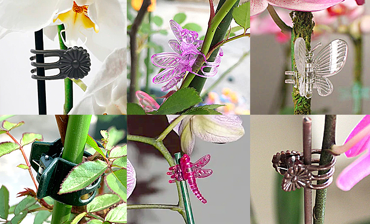 News - Perfect plant support clip orchid clip