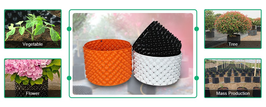 News - Air root pruning container planting and maintenance points