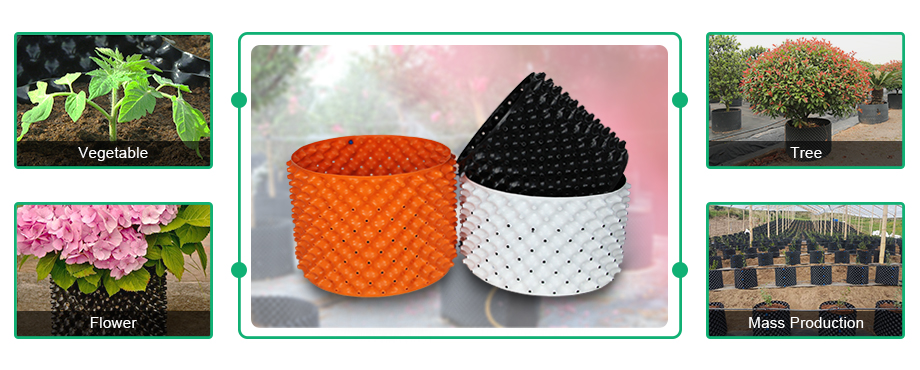 News - Plastic Air Pruning Pot Container for Plant Root Control