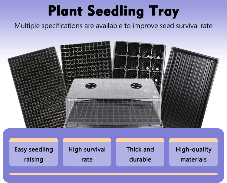 News - Are seed trays worth it?