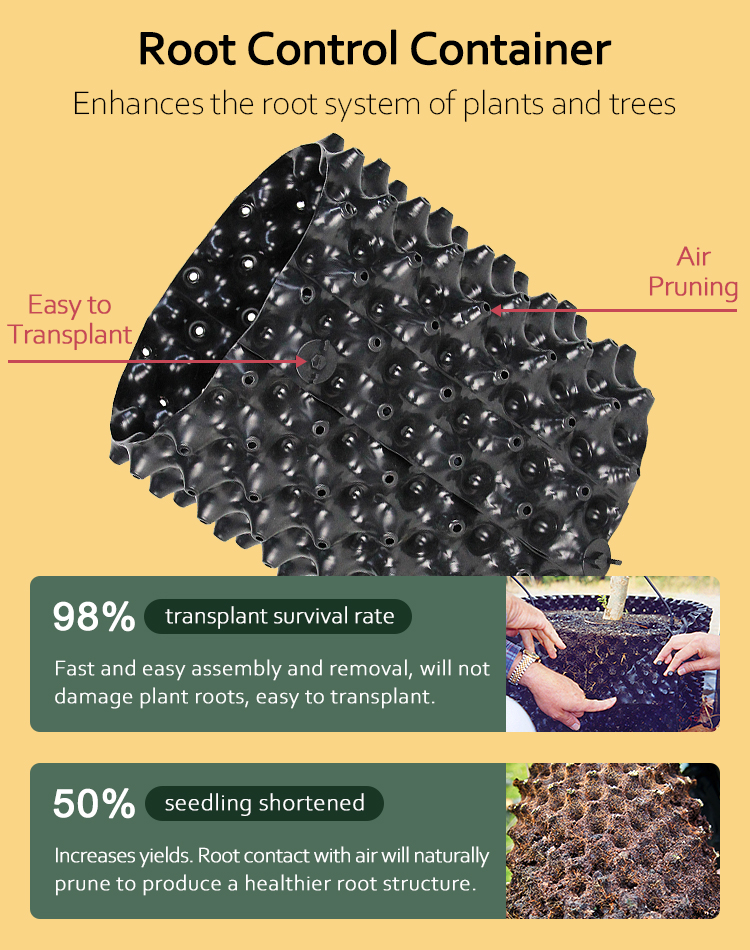 News - Why choose air root pruning pots？
